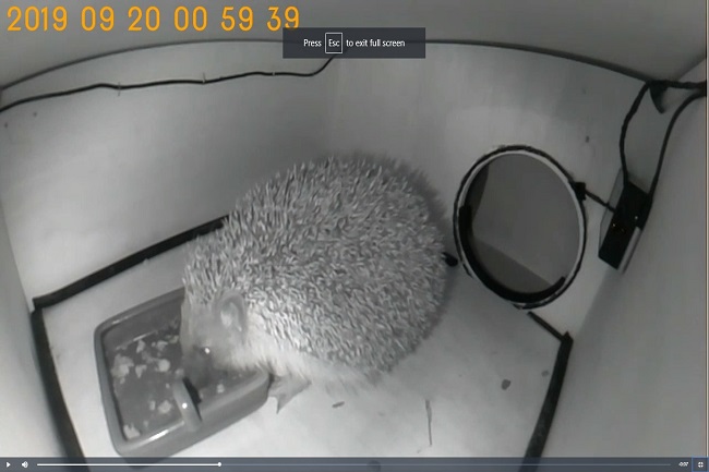 Projects – makingpi